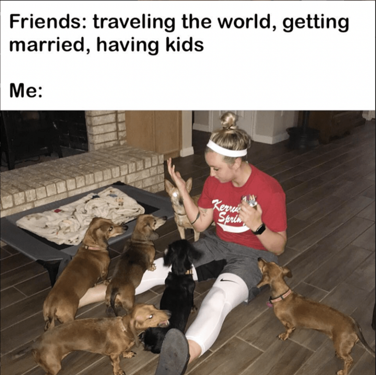 55 Wholesome Wiener Dog Pictures And Memes To Get You Through This ...