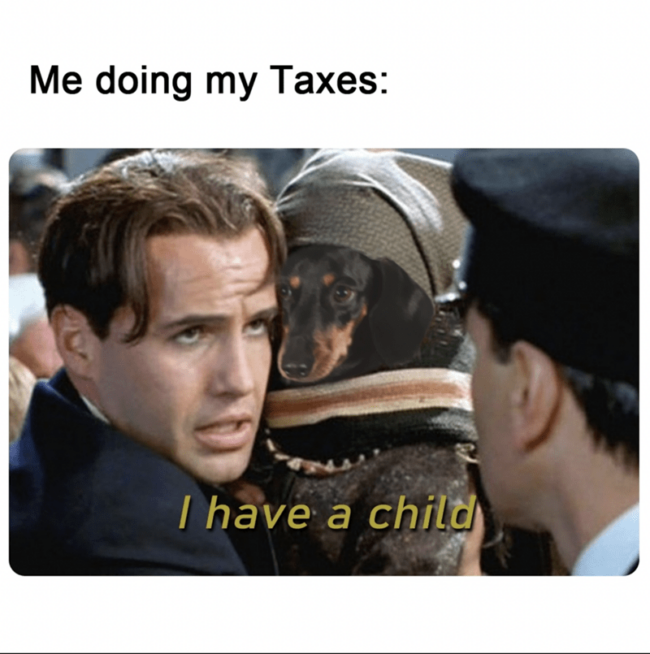 55 Wholesome Wiener Dog Pictures And Memes To Get You Through This ...