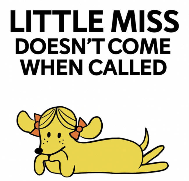 55 Wholesome Wiener Dog Pictures And Memes To Get You Through This ...