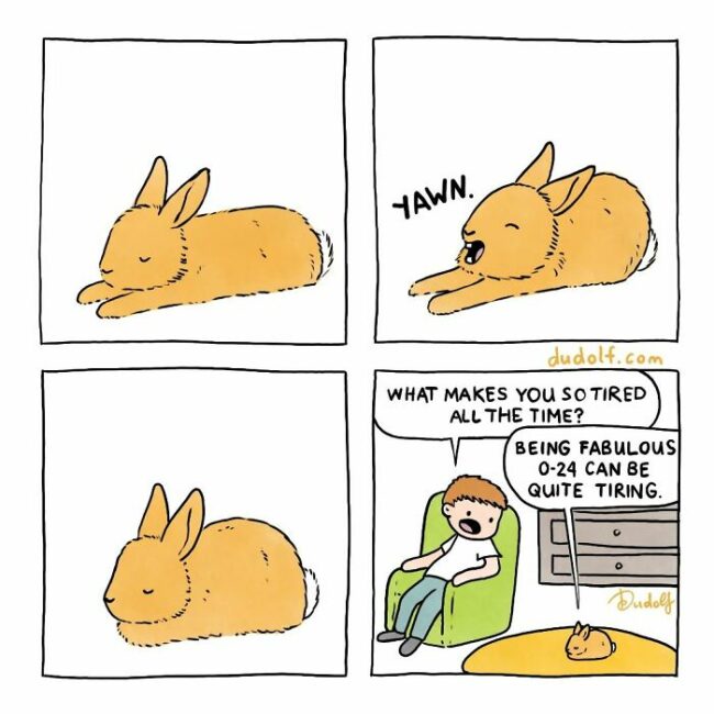 35 Cute Funny Comics With A Witty Bite From Artist Dudolf