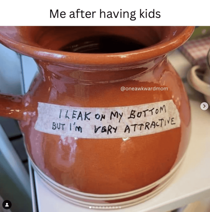 45 Funny Mommy Memes You Can Read While Hiding In The Bathroom