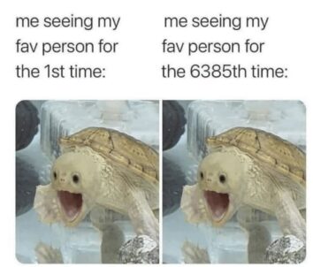 50 Of The Funniest Animal Memes That Made Us Smile This Week (April 19 ...