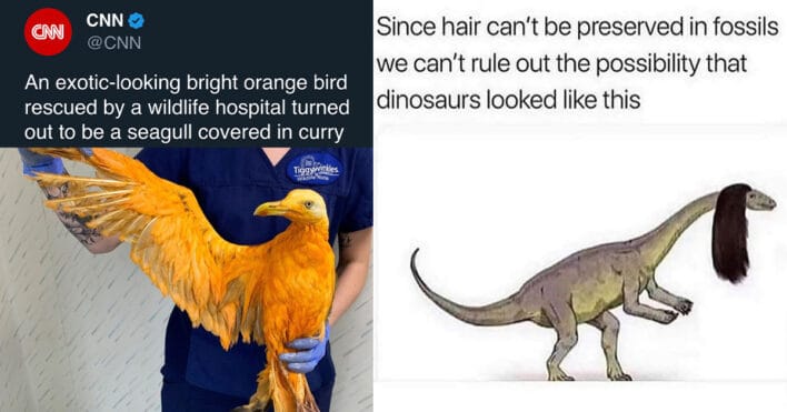 45 Funniest Animal Memes Making Rounds This Week (April 5, 2024)