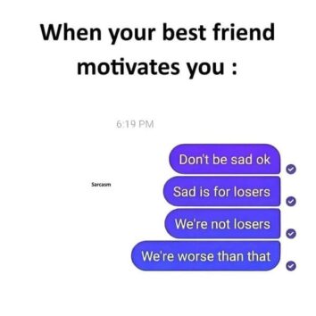 30 Memes That Embrace The Art Of Sarcasm With Hilarious Flair