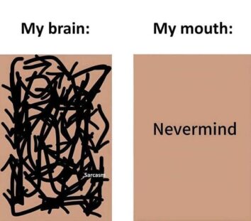 30 Memes That Embrace The Art Of Sarcasm With Hilarious Flair
