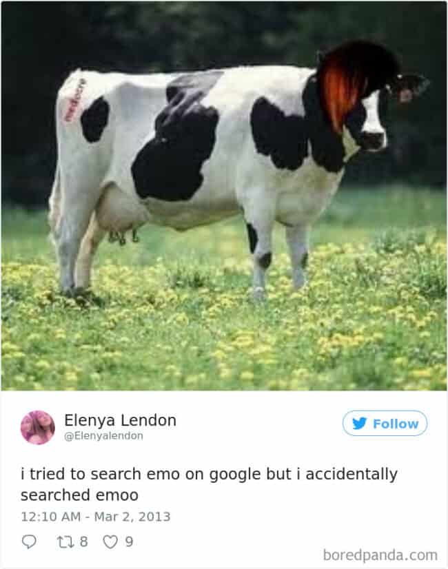 45 Funny Times People Googled The Wrong Thing And Were Not Disappointed