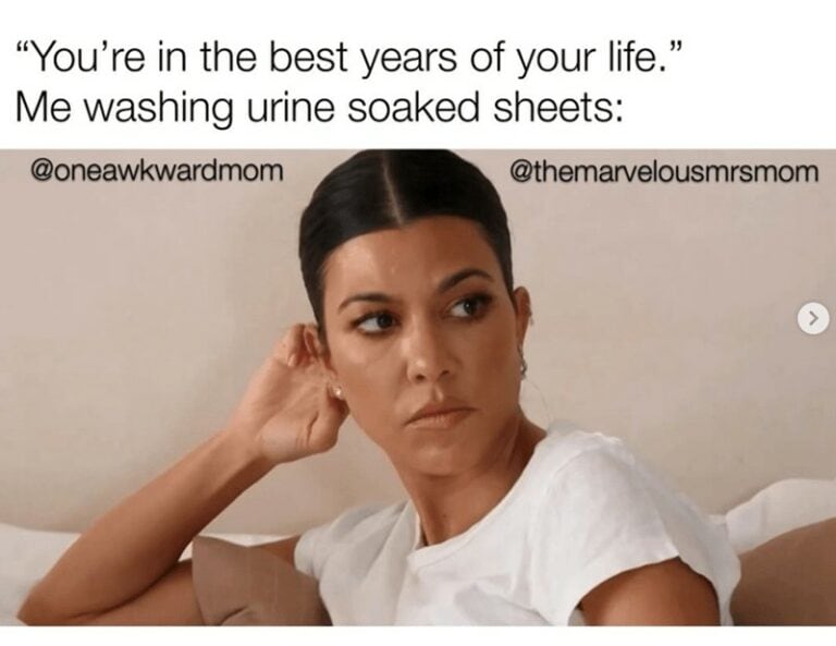 45 Funny Mommy Memes You Can Read While Hiding In The Bathroom