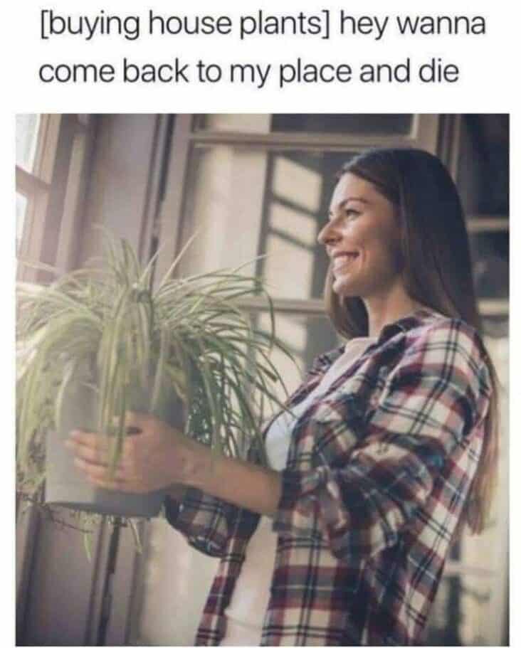 36 Plant Memes Grown From The Fertile Soil Of The Internet (April 4, 2024)
