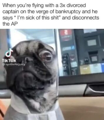 39 Funniest Memes About Air Travel That Make Your Flight Delays Almost ...