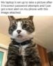 45 Funniest Cat Memes Of The Week Guaranteed To Make You Purr With ...