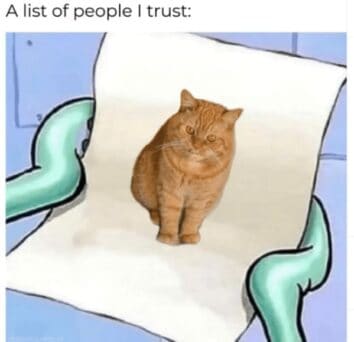 45 Funniest Cat Memes Of The Week Guaranteed To Make You Purr With ...