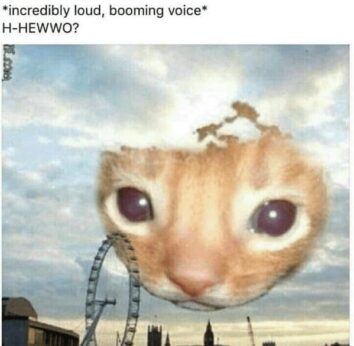 45 Funniest Cat Memes Of The Week Guaranteed To Make You Purr With ...