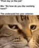 45 Funniest Cat Memes Of The Week Guaranteed To Make You Purr With ...