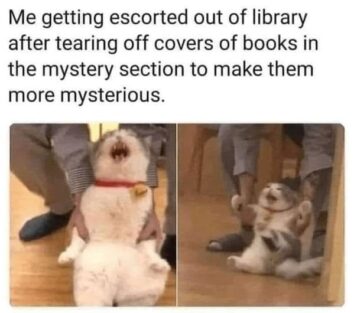 45 Funniest Cat Memes Of The Week Guaranteed To Make You Purr With ...