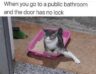 45 Funniest Cat Memes Of The Week Guaranteed To Make You Purr With ...