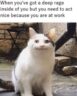 45 Funniest Cat Memes Of The Week Guaranteed To Make You Purr With ...