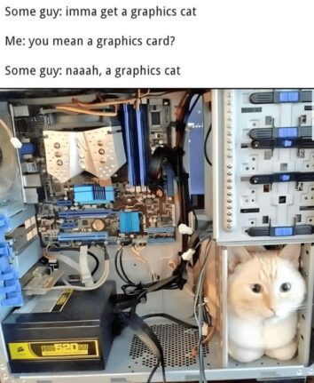 45 Funniest Cat Memes Of The Week Guaranteed To Make You Purr With ...