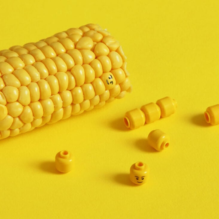 40 Amazing Art Pieces Created With Food, Clothes, And Other Everyday ...