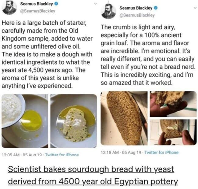 28 Sourdough Memes For New Bakers Feeding Their Starter Like A Tamagotchi