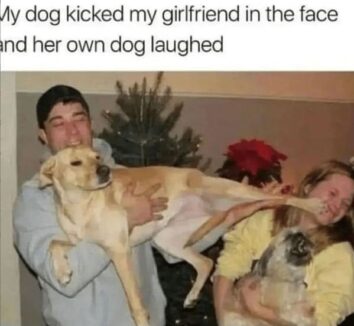 45 Hilarious Dog Memes To Kick Off Your Week With A Smile (April 22, 2024)