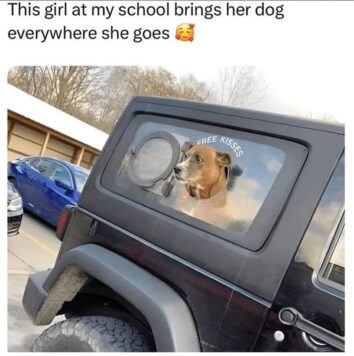 45 Hilarious Dog Memes To Kick Off Your Week With A Smile (April 22, 2024)