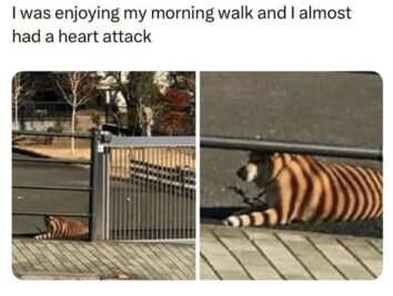 45 Hilarious Dog Memes To Kick Off Your Week With A Smile (April 22, 2024)