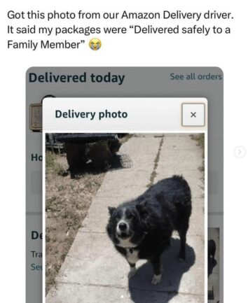 45 Hilarious Dog Memes To Kick Off Your Week With A Smile (April 22, 2024)