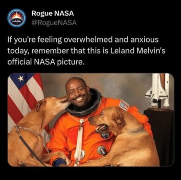 45 Hilarious Dog Memes To Kick Off Your Week With A Smile (April 22, 2024)