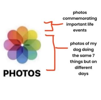 45 Hilarious Dog Memes To Kick Off Your Week With A Smile (April 22, 2024)