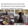 45 Hilarious Dog Memes To Kick Off Your Week With A Smile (April 22, 2024)