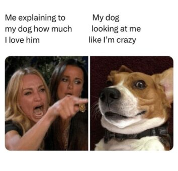 45 Hilarious Dog Memes To Kick Off Your Week With A Smile (April 22, 2024)