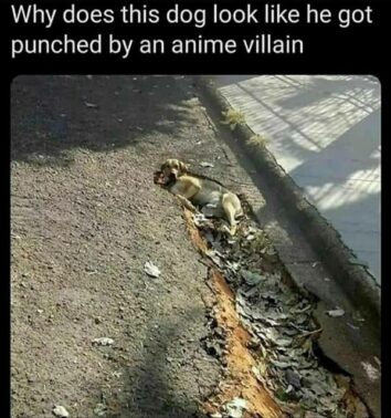 45 Hilarious Dog Memes To Kick Off Your Week With A Smile (April 22, 2024)