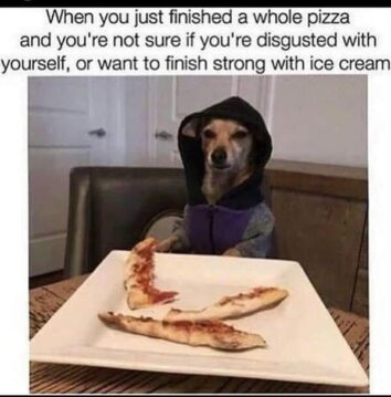 45 Hilarious Dog Memes To Kick Off Your Week With A Smile (April 22, 2024)