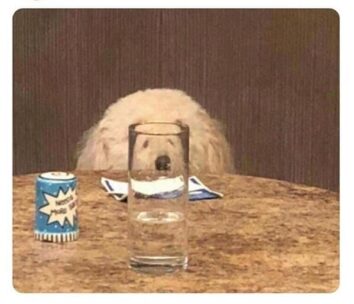 45 Hilarious Dog Memes To Kick Off Your Week With A Smile (April 22, 2024)