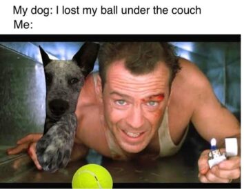 45 Hilarious Dog Memes To Kick Off Your Week With A Smile (April 22, 2024)