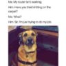50 Funny Dog Memes To Unleash The Laughs This Week (April 8, 2024)
