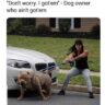50 Funny Dog Memes To Unleash The Laughs This Week (April 8, 2024)