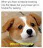 50 Funny Dog Memes To Unleash The Laughs This Week (April 8, 2024)