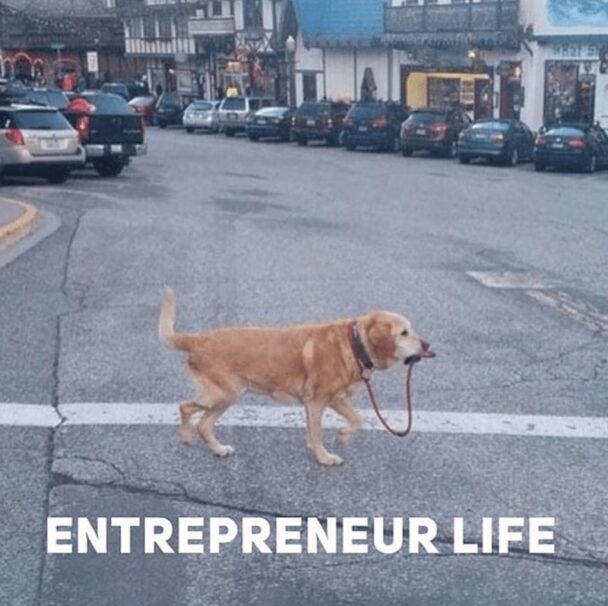 30 Entrepreneur Memes Out Here Just Trying To Make An Honest Buck