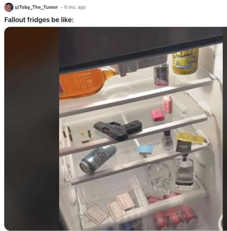 40 Fallout Memes For Fans Of The Game, The Show, Or Just Apocalyptic Humor