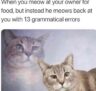 40 Funniest Animal Memes That'll Make Your Week Instantly Better (April ...