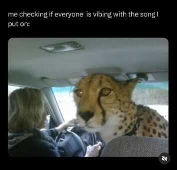 40 Funniest Animal Memes That'll Make Your Week Instantly Better (April ...