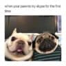 40 Funniest Animal Memes That'll Make Your Week Instantly Better (April ...