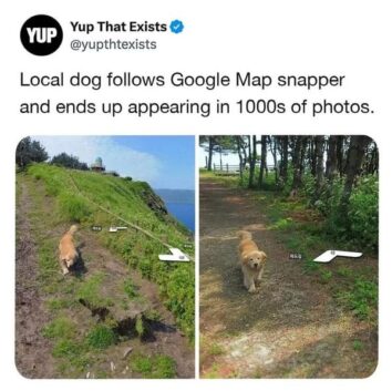 40 Funniest Animal Memes That'll Make Your Week Instantly Better (April ...