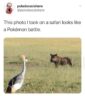40 Funniest Animal Memes That'll Make Your Week Instantly Better (April ...