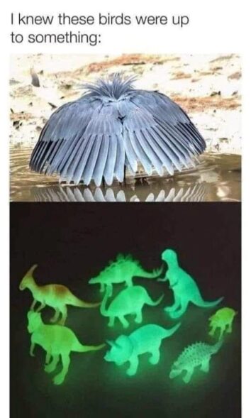 40 Funniest Animal Memes That'll Make Your Week Instantly Better (April ...