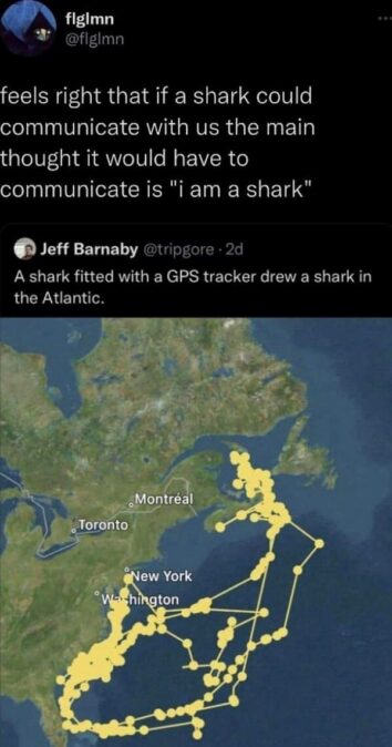 40 Funniest Animal Memes That'll Make Your Week Instantly Better (April ...