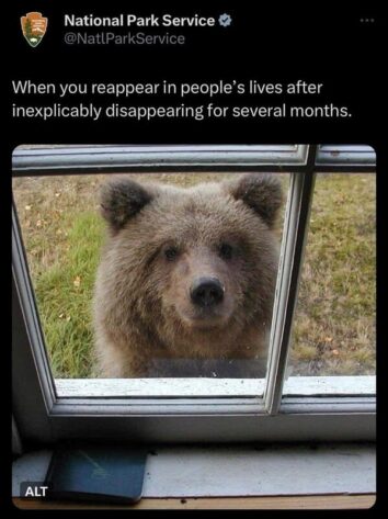 40 Funniest Animal Memes That'll Make Your Week Instantly Better (April ...