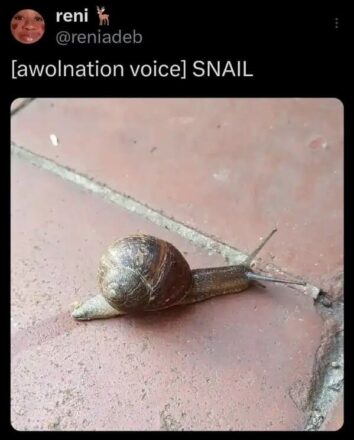 40 Funniest Animal Memes That'll Make Your Week Instantly Better (April ...