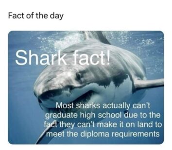 40 Funniest Animal Memes That'll Make Your Week Instantly Better (April ...